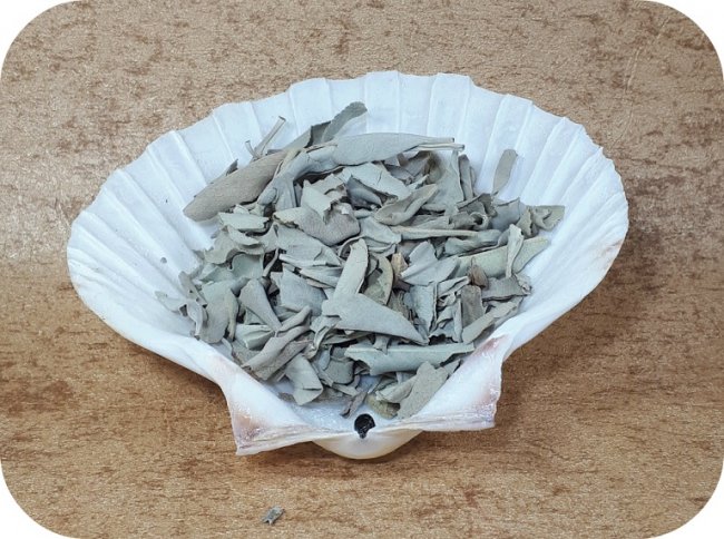 Wat is Witte Salie? - Palo santo / Heilighout